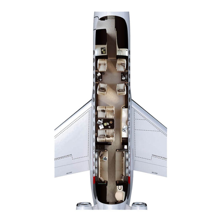 Dassault Falcon 8X (OE-IOE) - Jet View